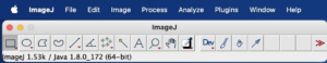 imageJのダウンロードとインストール方法 | MasaのLabノート