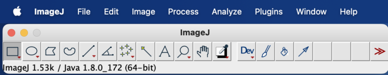 imageJのダウンロードとインストール方法 | MasaのLabノート