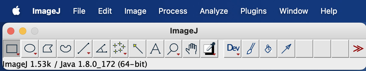imageJのダウンロードとインストール方法 | MasaのLabノート