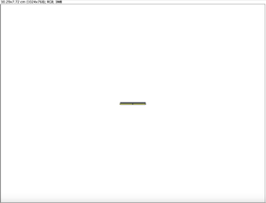 ImageJでの長さと面積の測定 | MasaのLabノート