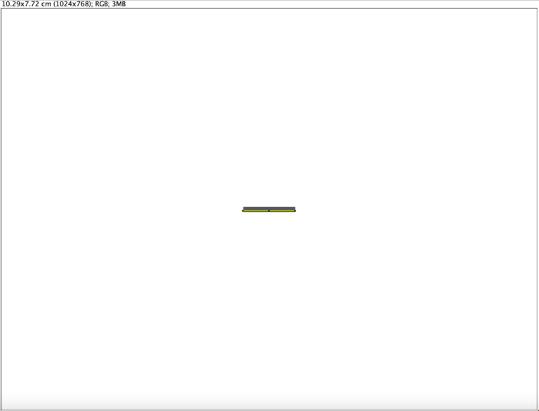 ImageJでの長さと面積の測定 | MasaのLabノート